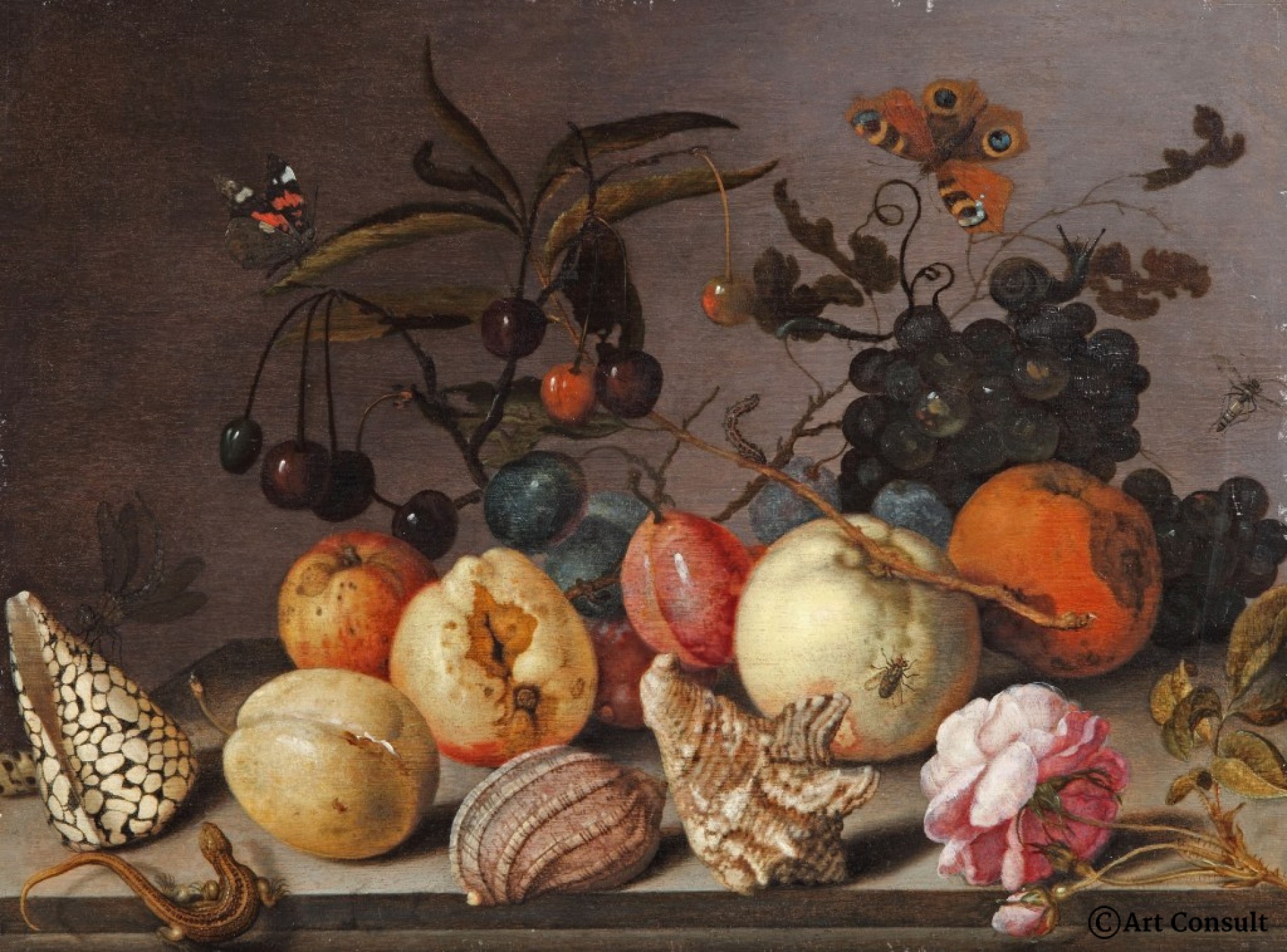 Balthasar van der Ast / Objects / Sellers / Artconsult
